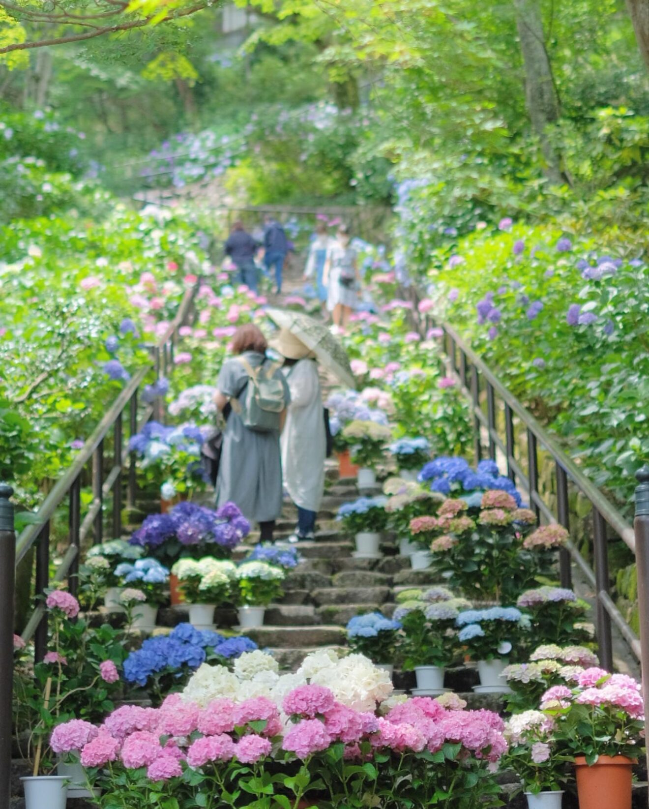 コース番号：T-20230617 – ちとせなら