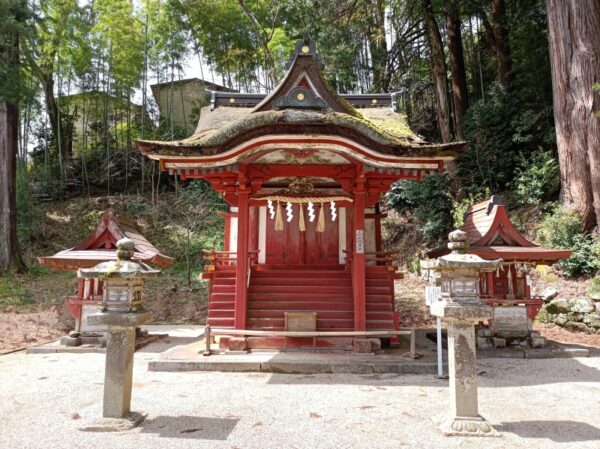 コース番号：T-20231124 – ちとせなら